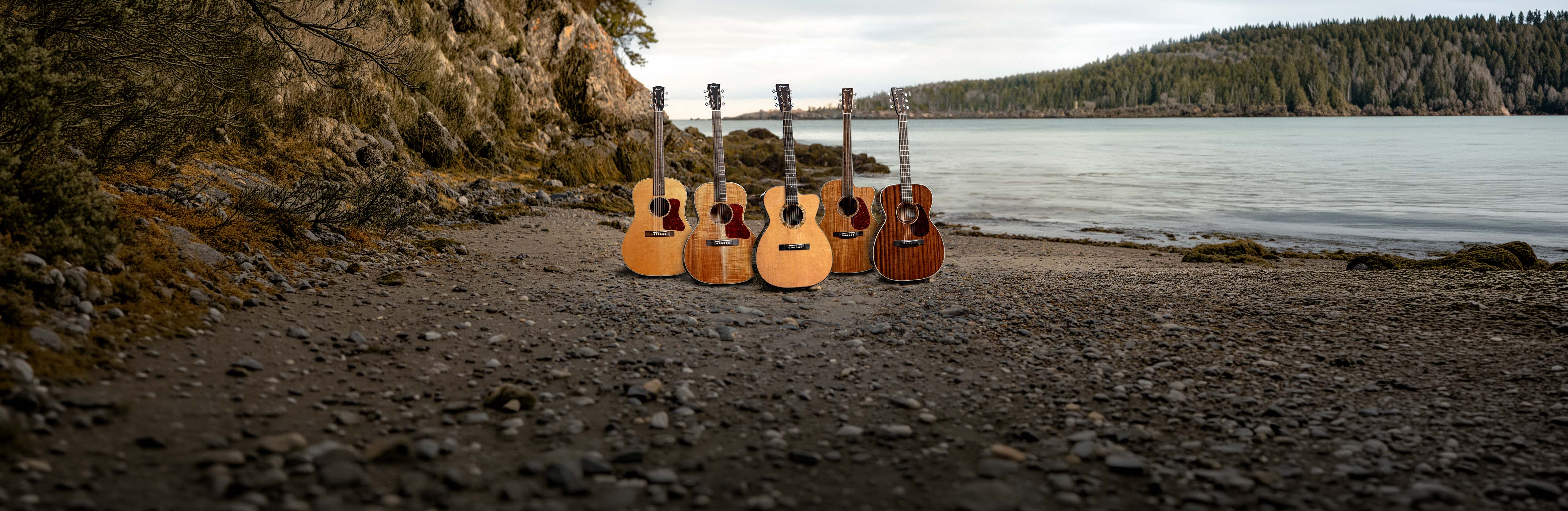 Home | Bourgeois Guitars